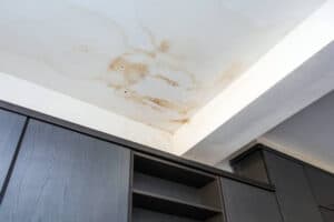 Water Leaking From the Ceiling? Here's What To Do | Moisture Master Pros